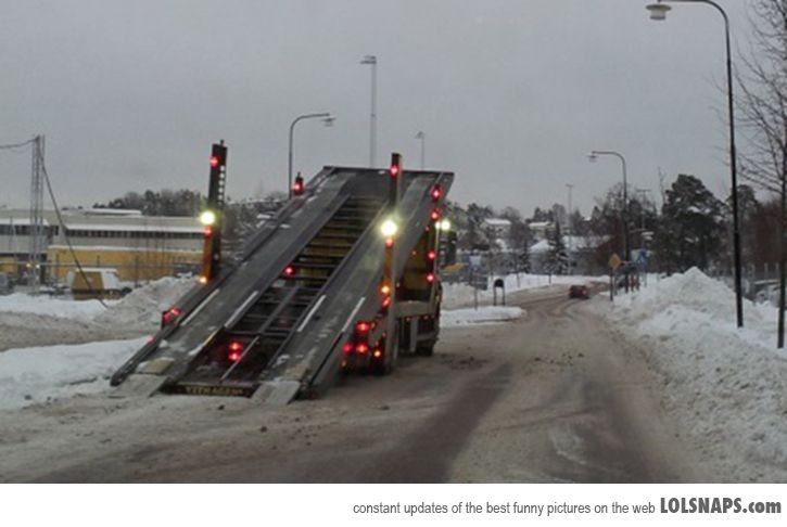 These Opportunities Only Come Once In A Lifetime... - LolSnaps