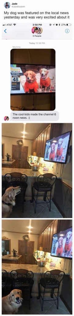 News boys. - LolSnaps