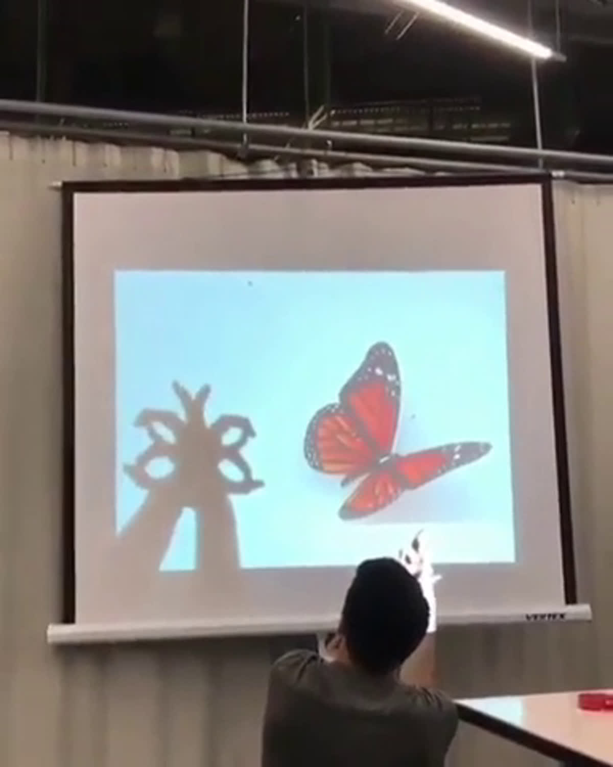 This guy's shadow puppets - LolSnaps